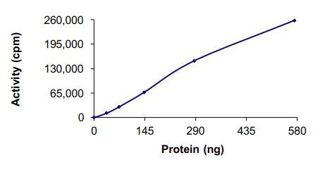 Recombinant human ALK protein (Active) (ab187246) | Abcam