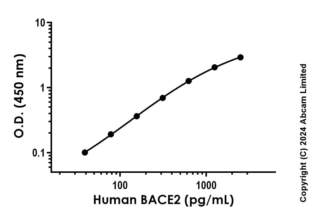 Recombinant Human BACE2 Protein Standard (His tag) (ab316538) | Abcam