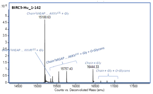 Recombinant Human BIRC5 Protein (ab290057) | Abcam