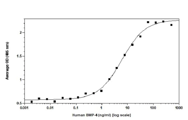 Recombinant human BMP4 protein (Active) (ab238298) | Abcam