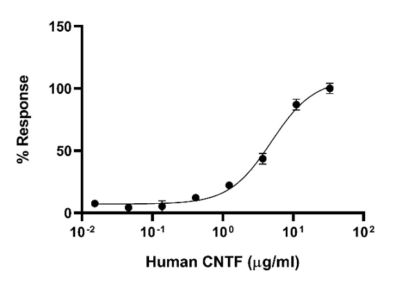 重组人CNTF蛋白(活性) (ab283456)| Abcam中文官网