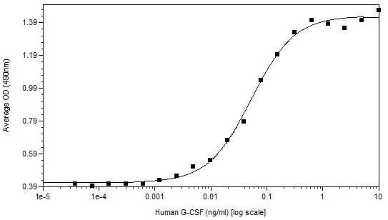 Recombinant human G-CSF protein (Active) (ab269224) | Abcam