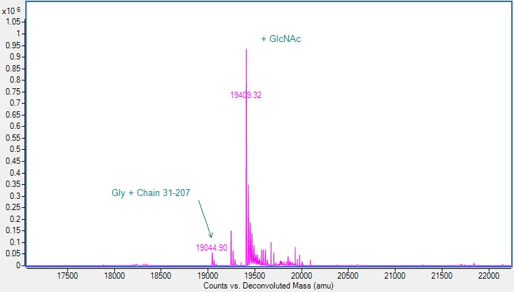 Recombinant Human G-CSF Protein (Active) (ab307484) | Abcam