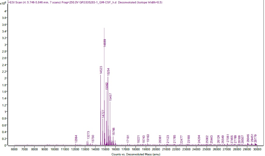 Recombinant human GM-CSF protein (Active) (ab259376) | Abcam