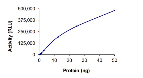 Recombinant human GST-Striatin-ALK fusion protein (Active) (ab268984 ...