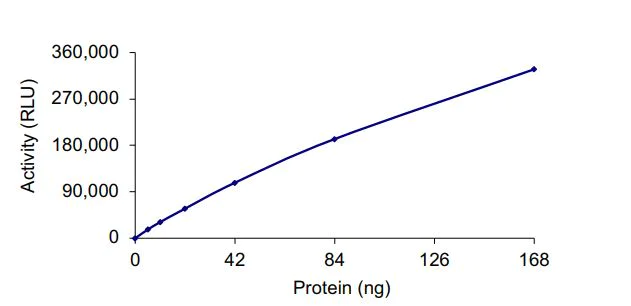 Recombinant human HDAC9 protein (Active) (ab268620) | Abcam