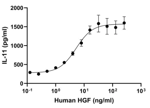 Recombinant human HGF protein (Active) (ab259401) | Abcam