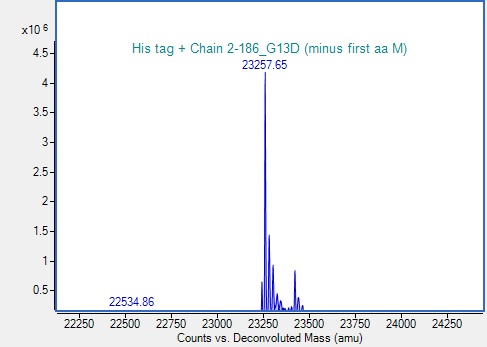 Recombinant Human KRAS (mutated G13D) Protein (His-tag) (ab315077) | Abcam