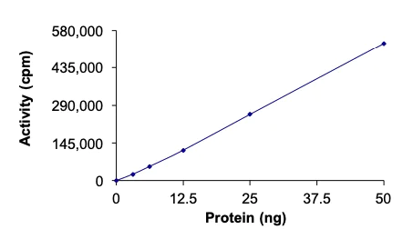 Recombinant human MERTK protein (ab72490) | Abcam