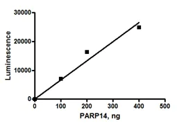 Recombinant human PARP14 protein (ab198628) | Abcam