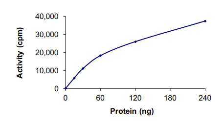Recombinant human PERK protein (ab101115) | Abcam