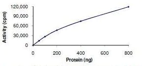 Recombinant human PERK protein (ab101115) | Abcam