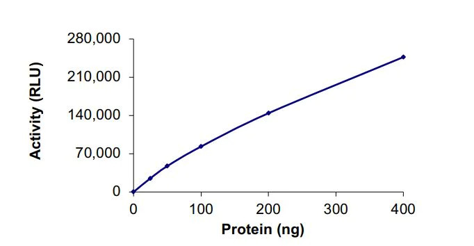 Recombinant human PIK3C2B protein (Active) (ab268865) | Abcam
