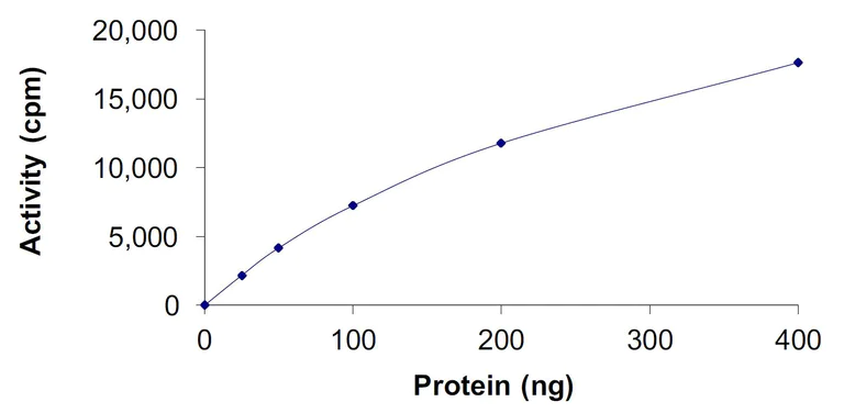 Recombinant human RIP protein (Active) (ab190411) | Abcam