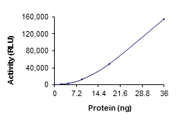 Recombinant human RIP2 protein (ab60879) | Abcam