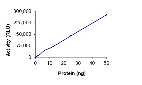Recombinant human ROCK1 protein (ab51415) | Abcam