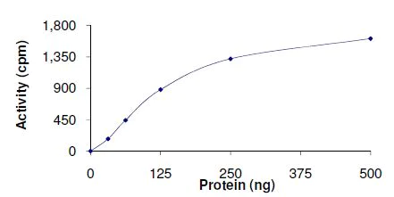 Recombinant human ROR1 protein (ab140807) | Abcam