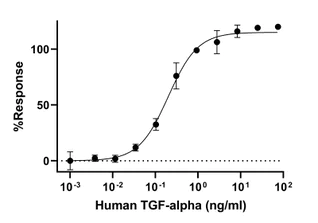 Recombinant human TGF alpha protein (Active) (ab283419) | Abcam