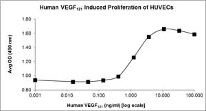 Recombinant human VEGF 121B protein (ab61872) | Abcam