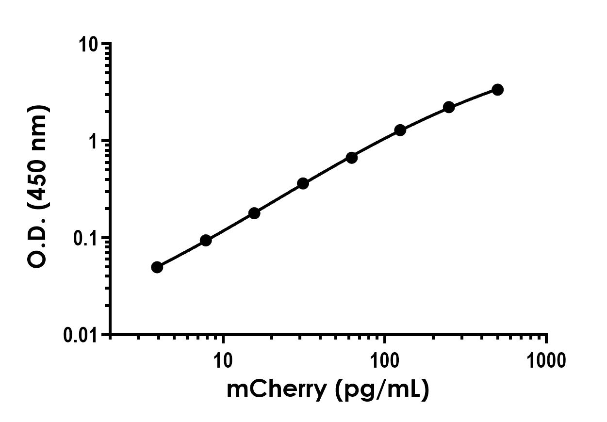 Recombinant mCherry Protein Standard (His tag) (ab316565) | Abcam
