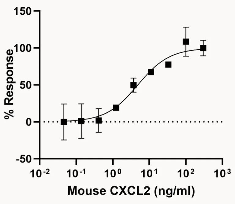 Recombinant mouse CXCL2 protein (Active) (ab282382) | Abcam