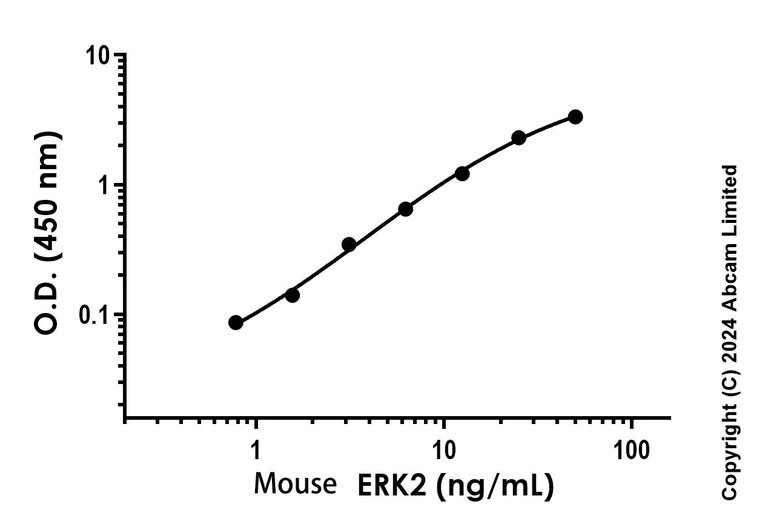 Recombinant Mouse ERK2 Protein Standard (His tag) (ab323113) | Abcam