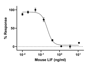 Recombinant Mouse LIF protein (Active) (ab288791) | Abcam