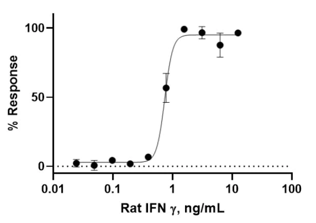 Recombinant rat Interferon gamma protein (Active) (ab280340) | Abcam