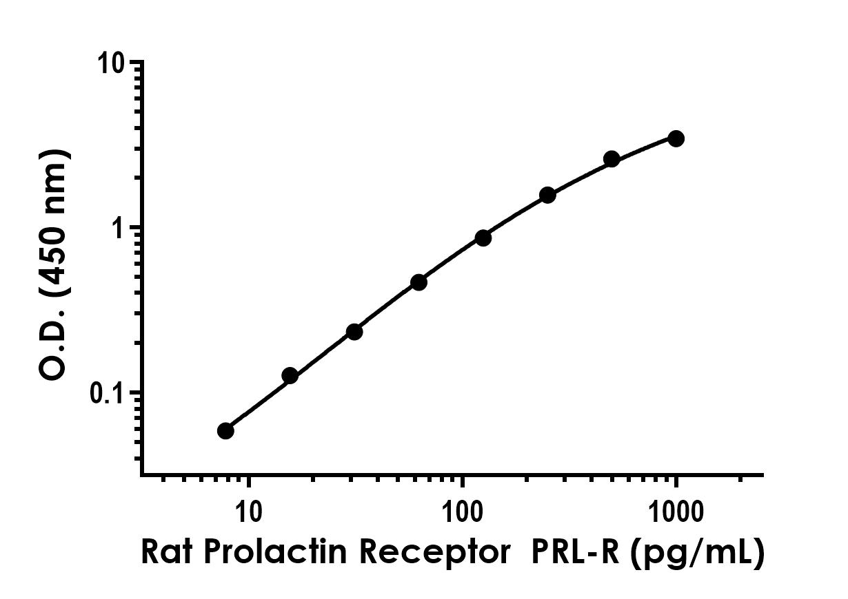 Recombinant Rat Prolactin Receptor / PRL-R Protein Standard (His tag ...