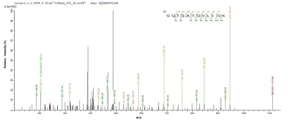 Recombinant Staphylococcus aureus Exfoliative Toxin A/ETA protein (His ...