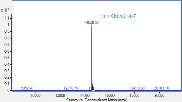 Recombinant TTR Protein (His tag) (ab313360) | Abcam