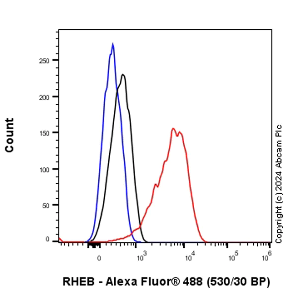 RHEB抗体[EPR25129-17] (ab316265)| Abcam中文官网