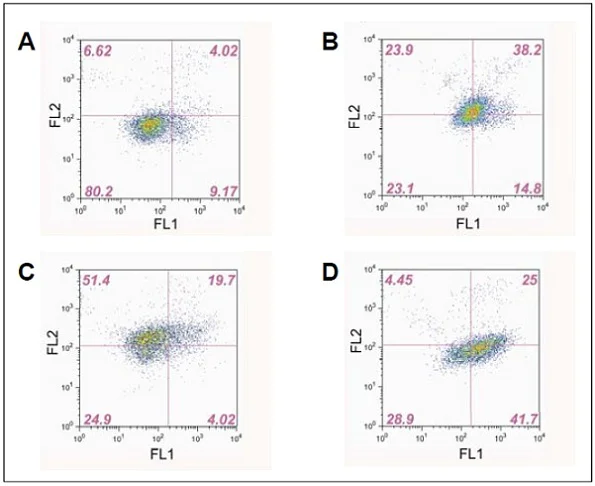 ROS/Superoxide Detection Assay Kit (Cell-based) (ab139476) | Abcam