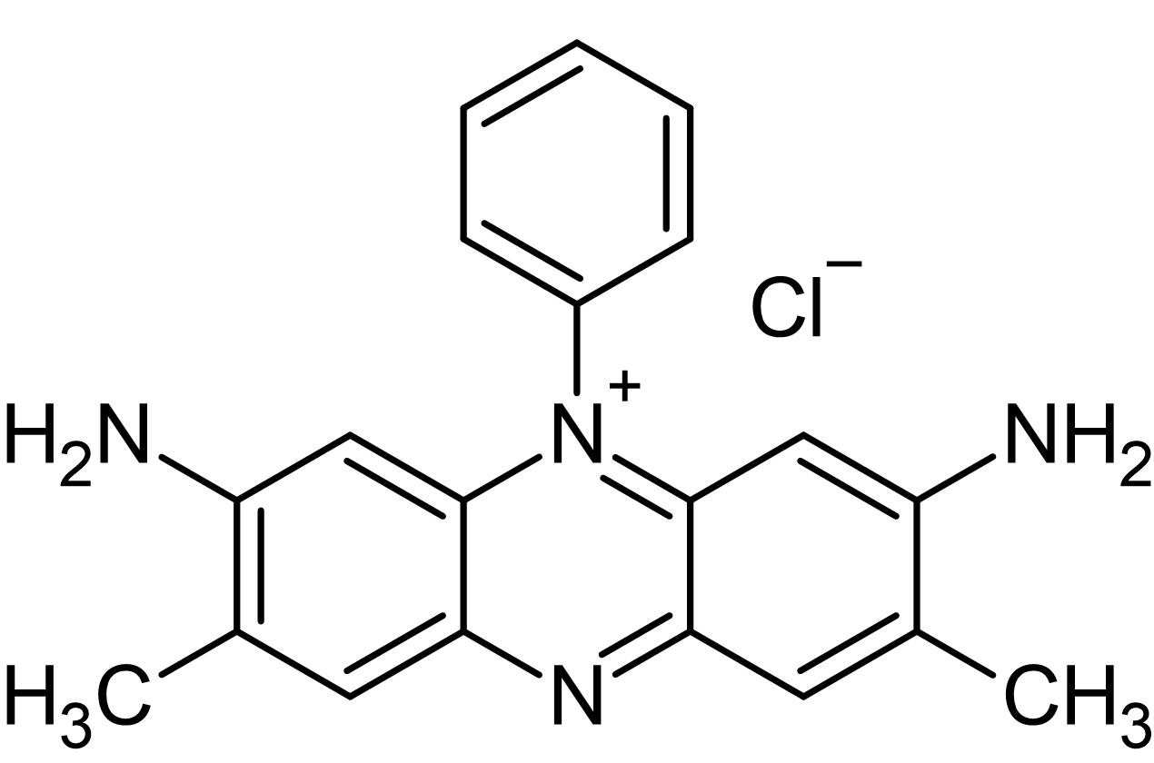 Safranin O, stain for Gram negative bacteria (CAS 477-73-6) (ab146329 ...