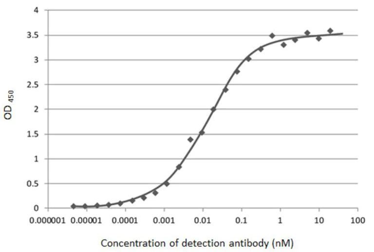 Anti-SARS-CoV-2 nucleocapsid protein antibody [HL5511] - BSA and Azide ...