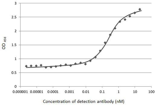 Anti-SARS-CoV-2 Spike Glycoprotein S1 antibody [HL134] - BSA and Azide ...