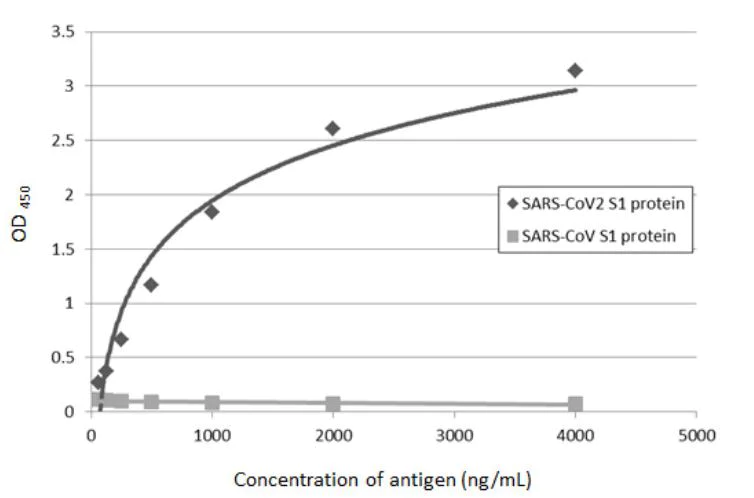 Anti-SARS-CoV-2 Spike Glycoprotein S1 antibody [HL134] - BSA and Azide ...