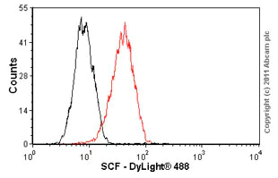 Anti-SCF antibody [EP665Y] Rabbit monoclonal (ab52603) | Abcam