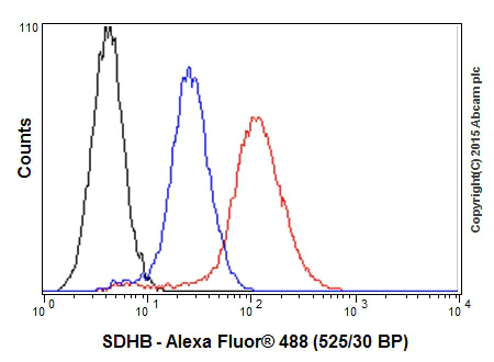 Anti-SDHB antibody [EPR10880] (ab175225) | Abcam