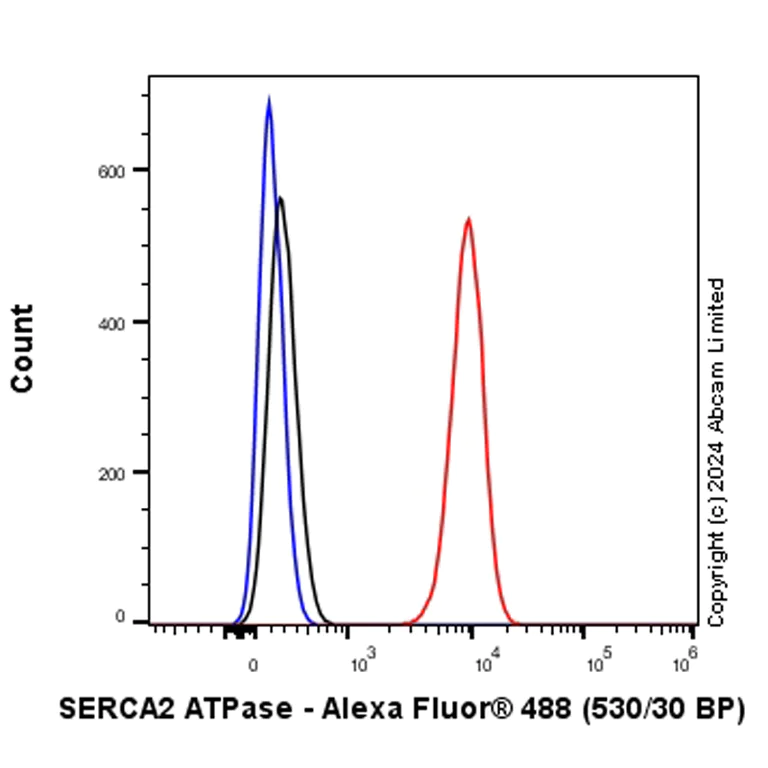 SERCA2 ATPase抗体[RM1176] (ab320749)| Abcam中文官网