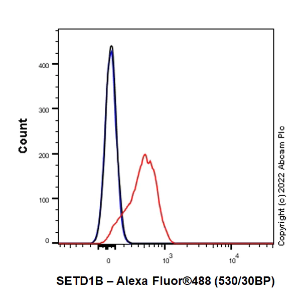 Anti-SETD1B antibody [EPR25142-11] (BSA and Azide free) (ab300480) | Abcam