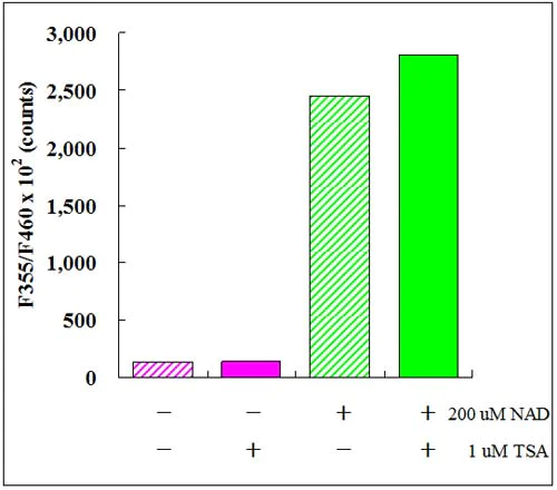SIRT3 Activity Assay Kit (Fluorometric) (ab156067) | Abcam
