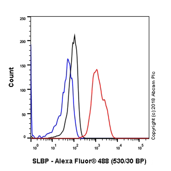 Anti-SLBP antibody [EPR12673] (ab181972) | Abcam
