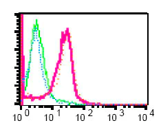 Anti-SLP76 (phospho Y145) antibody [EP2853Y] - BSA and Azide free ...