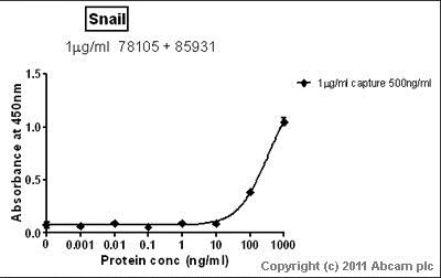 Anti-SNAIL + SLUG antibody [20C8] (ab78105) | Abcam