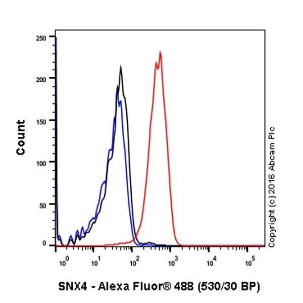 Anti-SNX4 antibody [EPR16954] - BSA and Azide free (ab236147) | Abcam