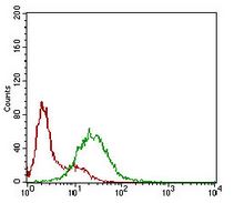 Anti-Somatostatin Receptor 3/SSTR3 antibody [7H8E5] (ab201952) | Abcam