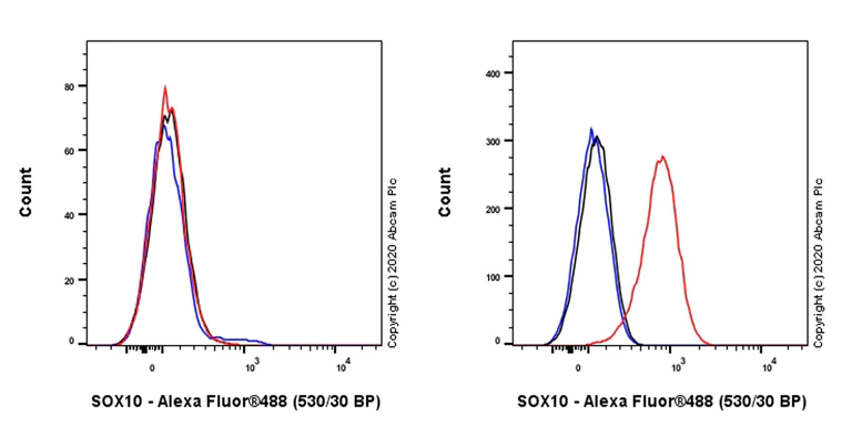 Anti-SOX10 antibody [SOX10/991] (ab218522) | Abcam