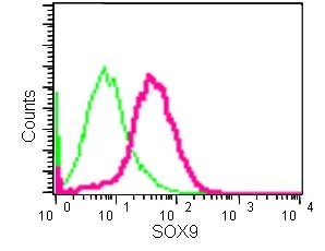 Anti-SOX9 antibody [EPR12755-50] - BSA and Azide free (ab250751) | Abcam