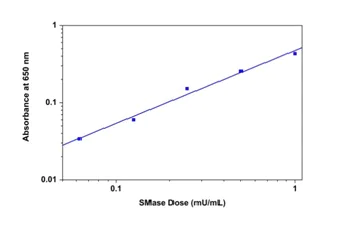 Sphingomyelinase Assay Kit (Colorimetric) (ab138876) | Abcam